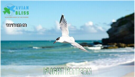 Gull Billed Tern: Complete Guide to This Unique Coastal Bird