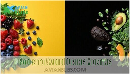 Safe Bird Food During Molting: 5 Top Choices + Nutrition Tips