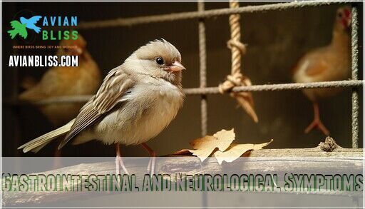 Avian Flu Symptoms Birds: Early Warning Signs Every Bird Owner Needs