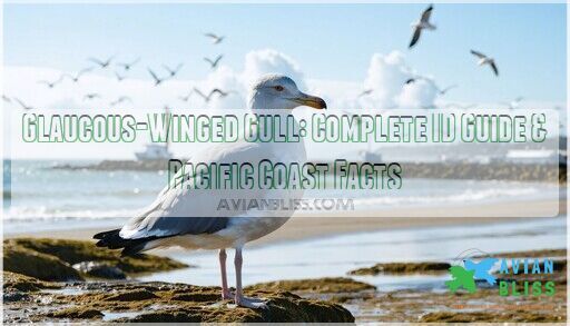 Glaucous-Winged Gull: Complete ID Guide & Pacific Coast Facts