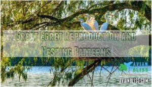 Great Egret: Complete Guide to North America's Tallest White Heron
