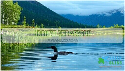 Red-Throated Loon: Complete Guide to ID, Habitat & Behavior (2025)
