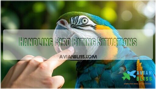 How to Discipline a Bird: Proven Methods That Actually Work