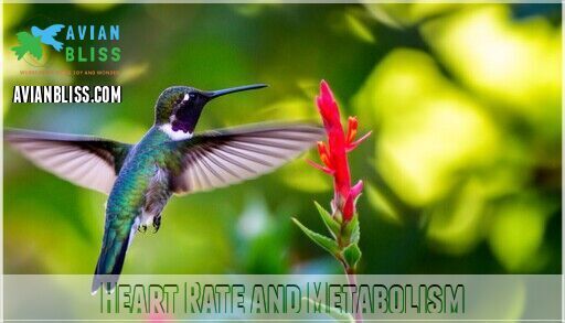 Ruby-Throated Hummingbird: Facts, ID Guide & Behavior (2025)