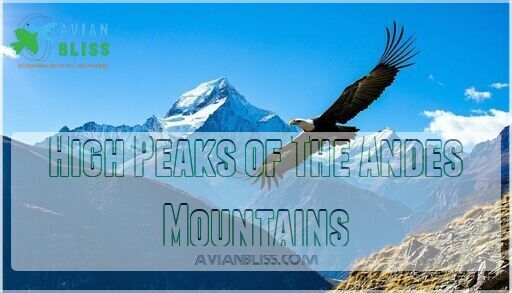 Facts About The Andean Condor: 15 Amazing Secrets of This Giant Bird