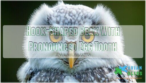 Baby Owl Facts: Complete Guide to Owlets (Pictures & Care Tips)