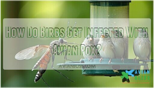 Avian Pox Virus in Birds: Symptoms, Treatment & Prevention Guide