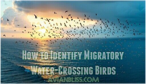 Birds That Migrate Over Water: 10 Amazing Species Cross Oceans
