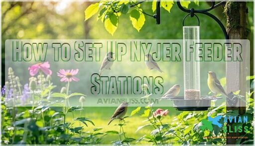 Nyjer Seed Bird Food: Types, Feeders & Birds That Love It