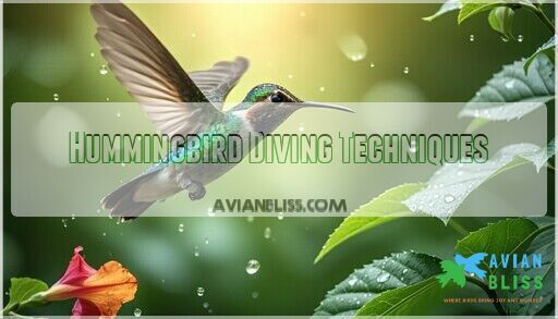 How Do Hummingbirds Dive? Courtship Display Secrets Revealed
