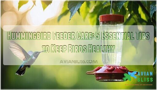 Hummingbird Feeder Care: 5 Essential Tips to Keep Birds Healthy