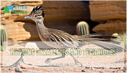 Greater Roadrunner: Fast Desert Bird Facts & Amazing Adaptations