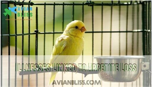 Canary Loss Appetite Illness: Warning Signs, Causes & When to See a Vet