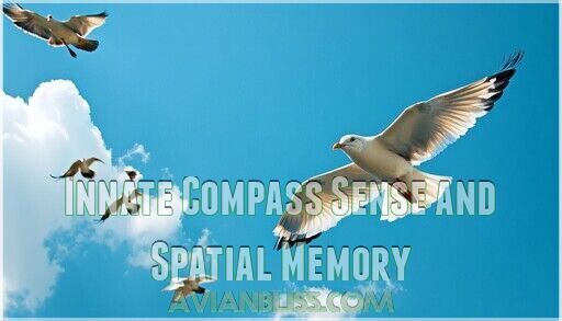 Avian Migration Behavior Tips: 6 Secrets Birds Use to Navigate