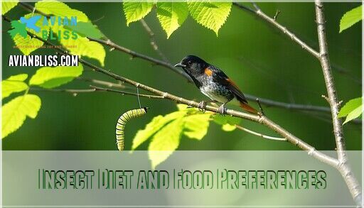 American Redstart: Complete Guide to ID, Habitat & Behavior (2025)