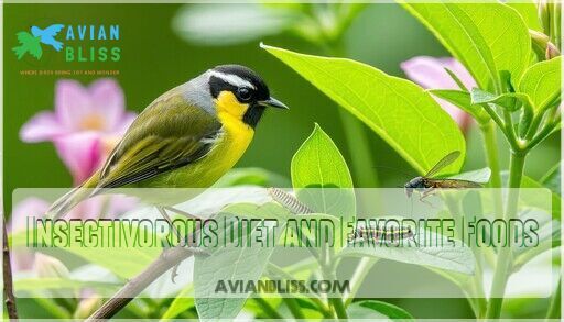 Common Yellowthroat: ID Guide, Habitat, Diet & Behavior Facts