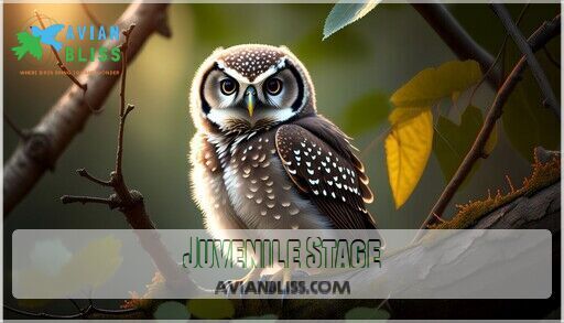Baby Owl Facts: Complete Guide to Owlets (Pictures & Care Tips)