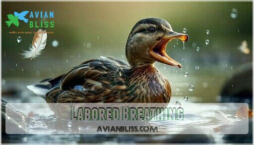 Duck Nasal Discharge Difficulty Breathing: Causes & Treatment