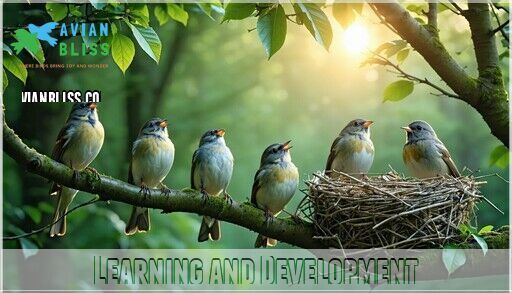 Why Do Birds Sing Songs: 6 Surprising Reasons Behind Their Music