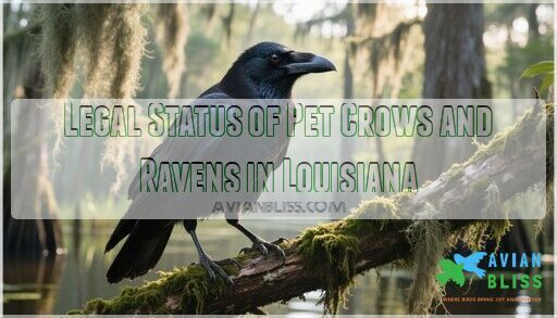 Why is It Illegal to Own a Crow? Surprising Facts Revealed!