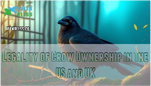 Why is It Illegal to Own a Crow? Surprising Facts Revealed!