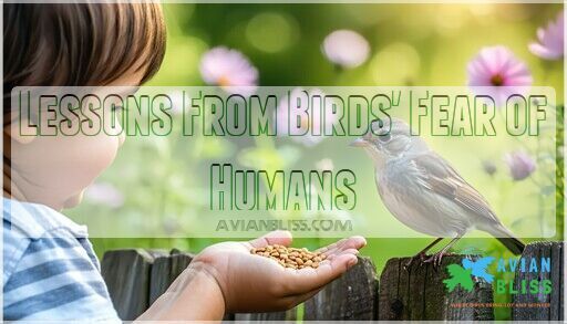 Why Are Birds Scared of Humans? Science Behind Their Fear Response