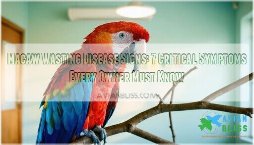 Macaw Wasting Disease Signs: 7 Critical Symptoms Every Owner Must Know