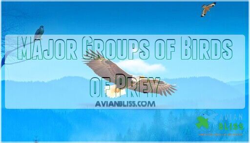 Birds of Prey Species: Complete Guide to Raptors (2025)