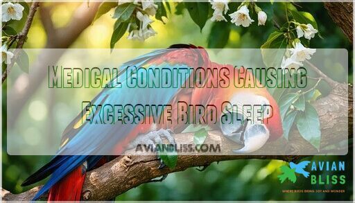 Why is My Bird Sleeping So Much? 7 Warning Signs & Solutions