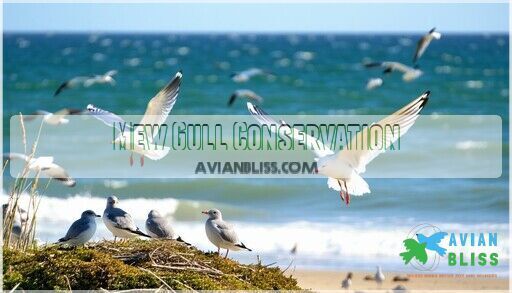 Mew Gull Facts: Habitat, Diet, Breeding & Conservation Guide