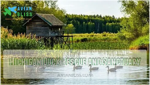 Michigan Ducks: 25+ Species Guide With Hunting Spots & ID Tips