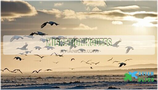 Snow Goose Facts: Migration, Habitat & ID Guide You Need to Know