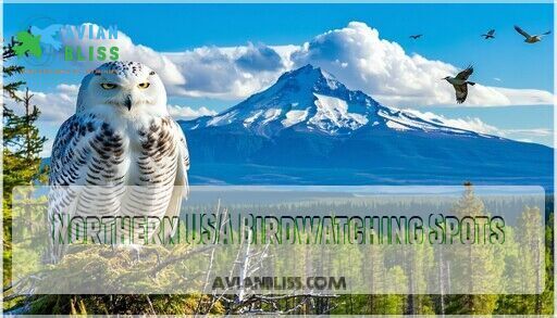 Rare Bird Sightings Map USA: Secret Hotspots & Migration Alerts