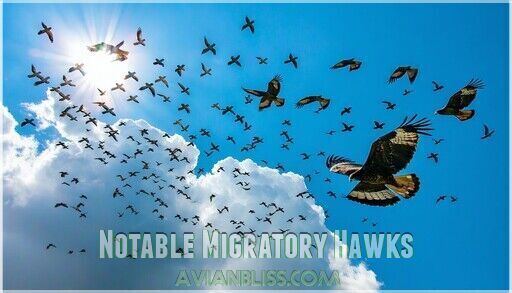 Do Hawks Migrate? Complete Guide to Their Epic Seasonal Journeys
