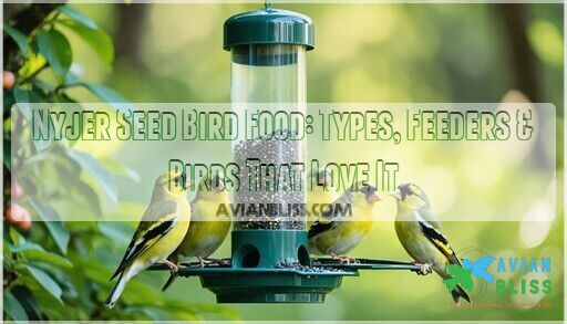 Nyjer Seed Bird Food: Types, Feeders & Birds That Love It
