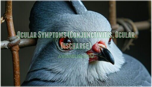 Avian Flu Symptoms Birds: Early Warning Signs Every Bird Owner Needs