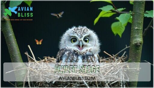 Baby Owl Facts: Complete Guide to Owlets (Pictures & Care Tips)
