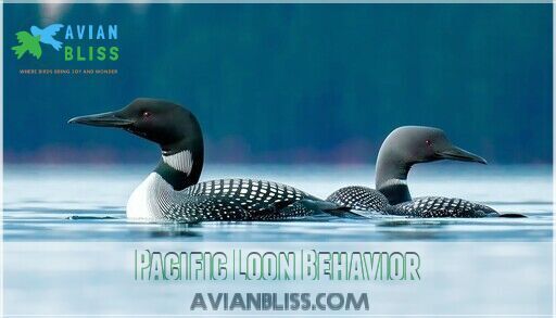 Pacific Loon: Stunning Arctic Diver's Secrets & Survival Guide