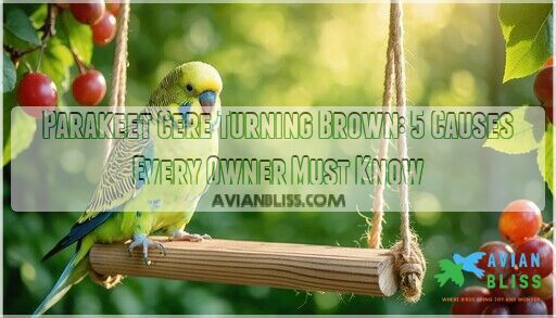 Parakeet Cere Turning Brown: 5 Causes Every Owner Must Know