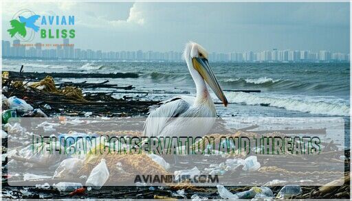 Why Do Pelicans Eat Other Birds? Shocking Predatory Secrets