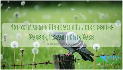 Pigeon Twisted Neck and Balance Issues: Causes, Treatment & Care