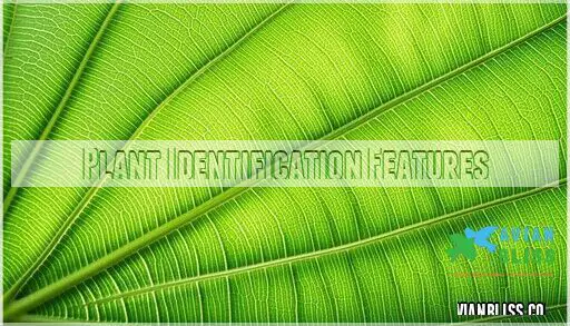 Field Marks: Complete Guide to Wildlife & Bird Identification Tips