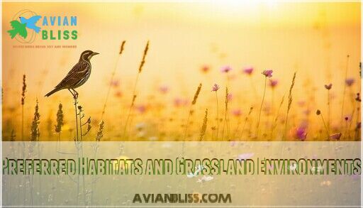 Bobolink Bird: Complete Guide to North America's Migrating Songbird