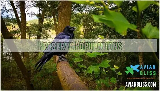 Why is It Illegal to Own a Crow? Surprising Facts Revealed!