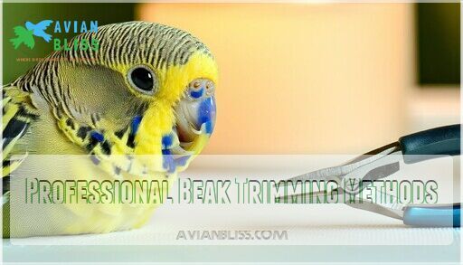 Budgie Beak Overgrown: 5 Causes + How to Fix It Safely (2025 Guide)