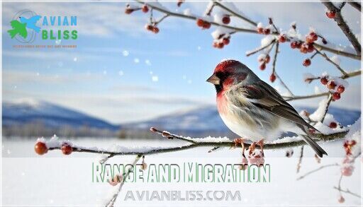 Common Redpoll: ID Guide, Diet & How to Attract This Arctic Bird