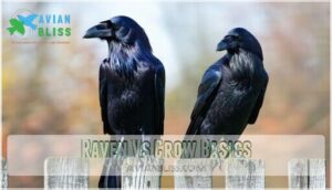 Raven Vs Crow: 7 Key Differences You Can Actually Spot