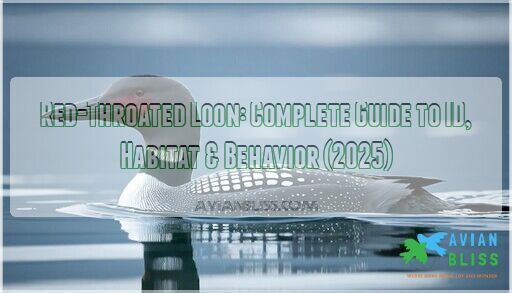 Red-Throated Loon: Complete Guide to ID, Habitat & Behavior (2025)