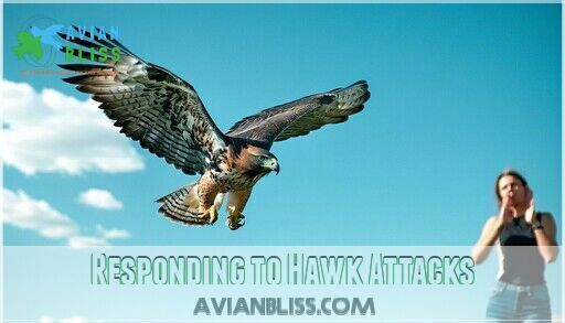 Are Hawks Dangerous to Humans? The Facts on Attacks, Risks, and Safety
