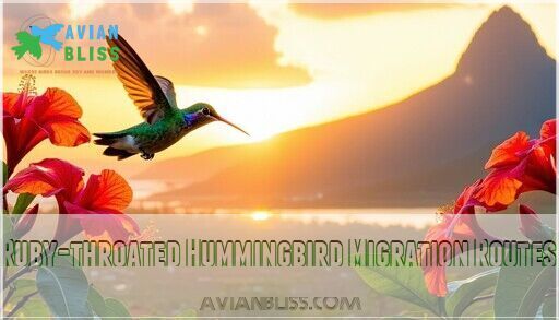 Do Male Hummingbirds Migrate First? Migration Patterns Explained